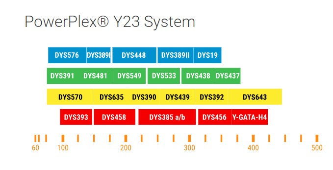 Xét nghiệm ADN Anh Em Cùng Cha Khác Mẹ ở Hà Nội - 0987.666.081