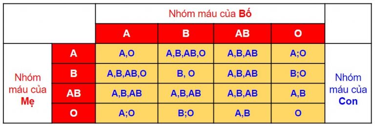 Bố Nhóm Máu Ab Mẹ Nhóm Máu O Con Nhóm Máu Gì Novagen