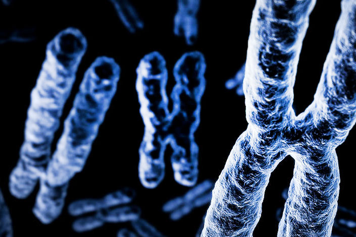 Giải Trình Tự Gen Là Gì? Nguyên Lý và Ứng Dụng